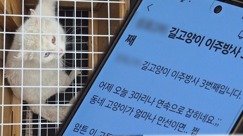 3,700만 원 가상화폐 사라졌다…SKT 해킹 사태, 9.7GB 데이터 유출이 의미하는 것 ('궁금한 이야기')